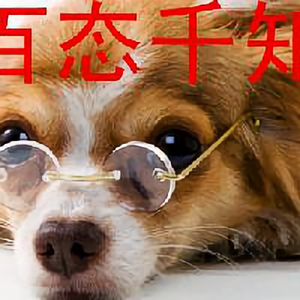 百态千知 