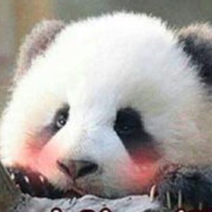 自娱自乐自己过89977273 