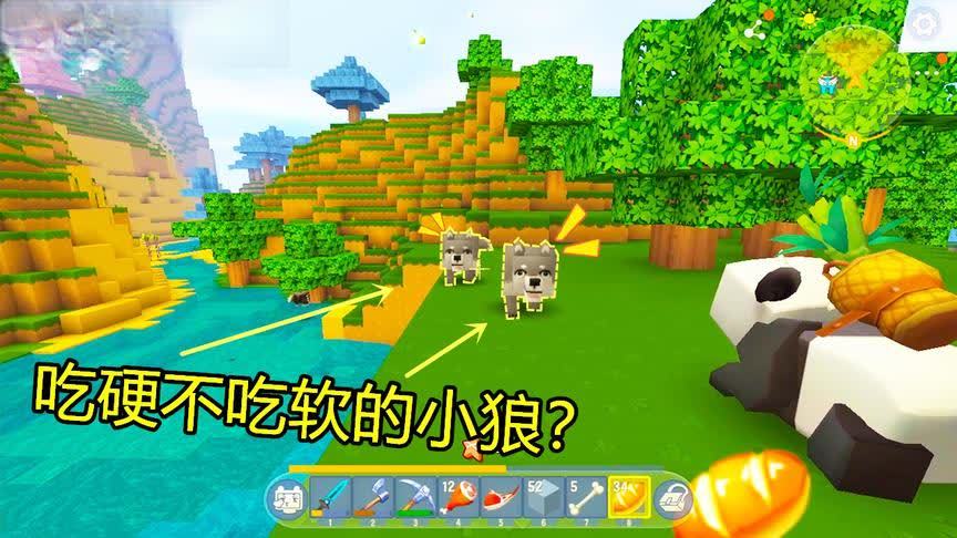 迷你世界极限生存小蕾见过最奇葩的狼,不爱吃羊,只爱挨打?