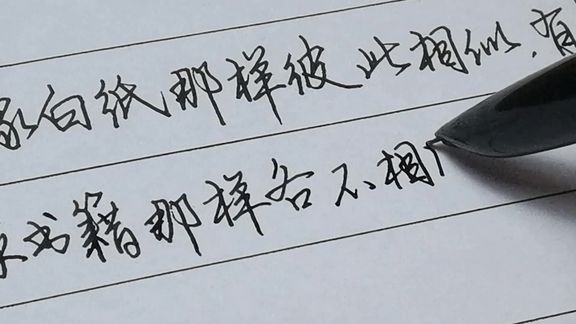 硬笔书法欣赏,有识之士像书籍那样,各不相同