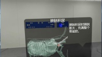 vr医疗仿真教学系统之直肠手术模拟——北京华锐视点