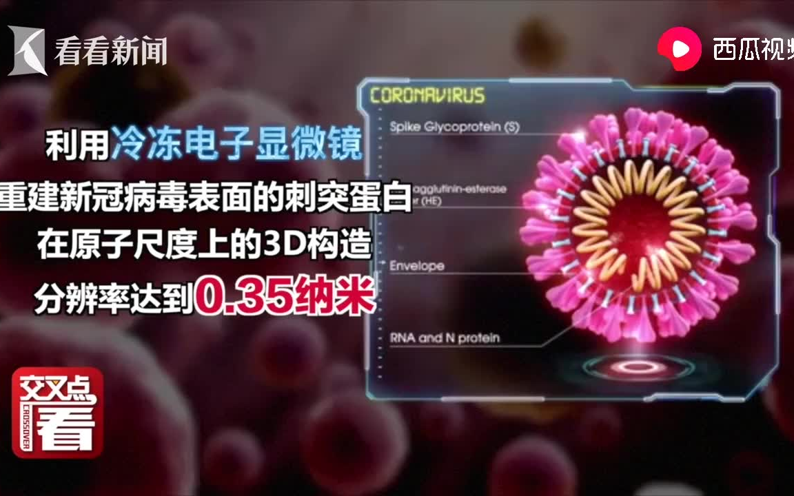 中国提供新冠病毒基因组序列后,美国找到疫苗开发关键靶点
