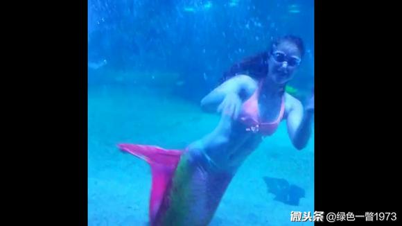 实拍美人鱼:鱼游水底竞自由,女姿优美撼沉浮!