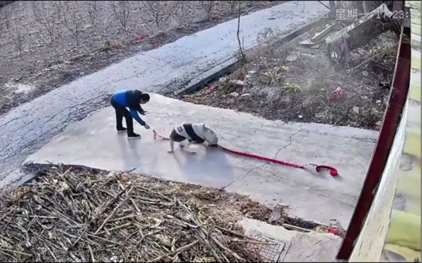 第三视角和第一视角
