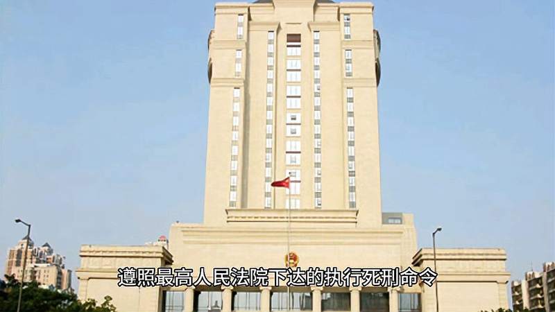 梅姨案两名人贩被执行死刑