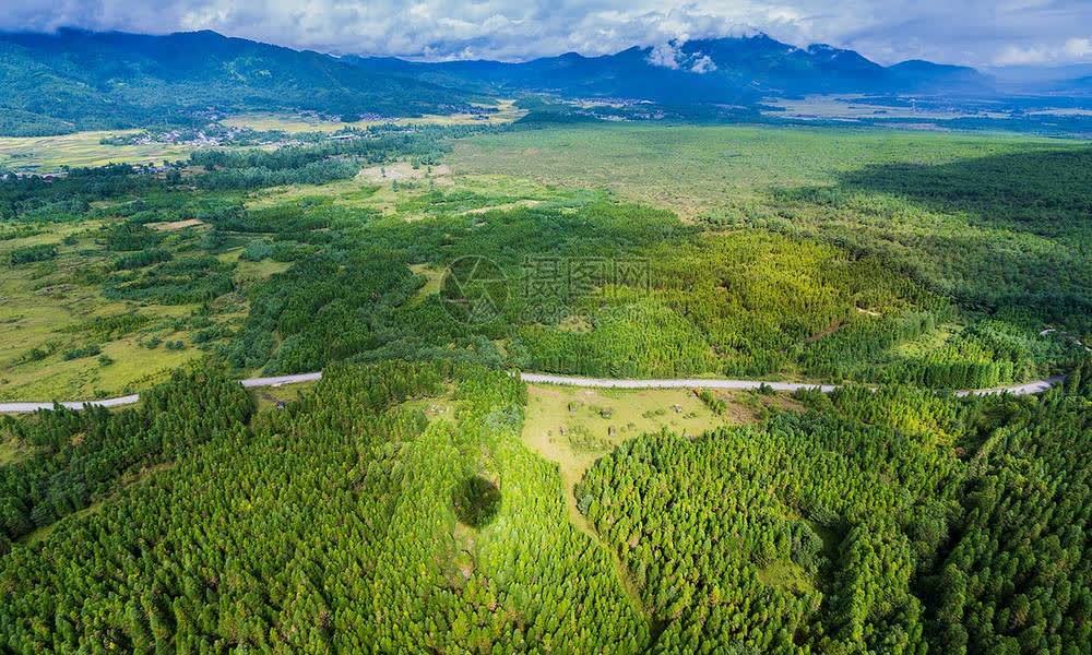 如果沙漠都变成森林,地球会怎样?你一定猜不到