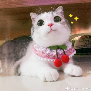 棒桑万さん 