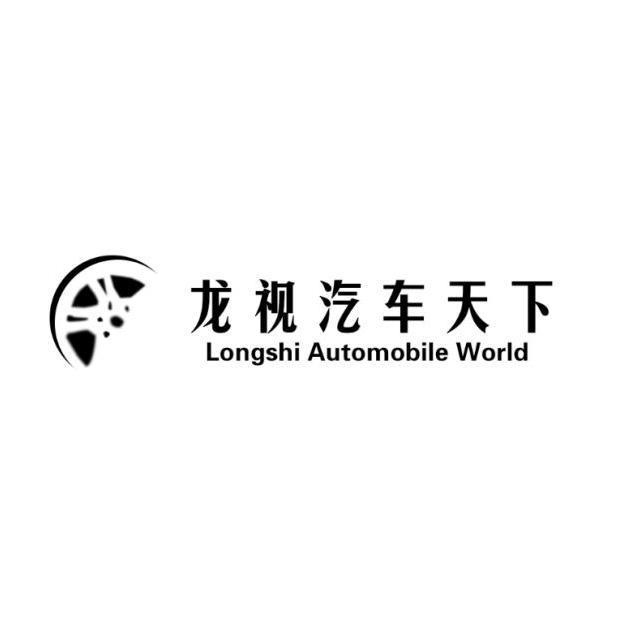 龙视汽车天下 
