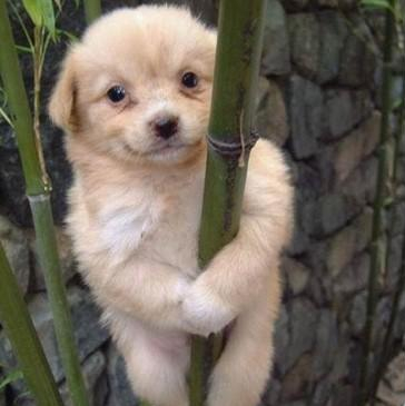 这里这里还有这里 