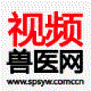 0视频兽医网0 