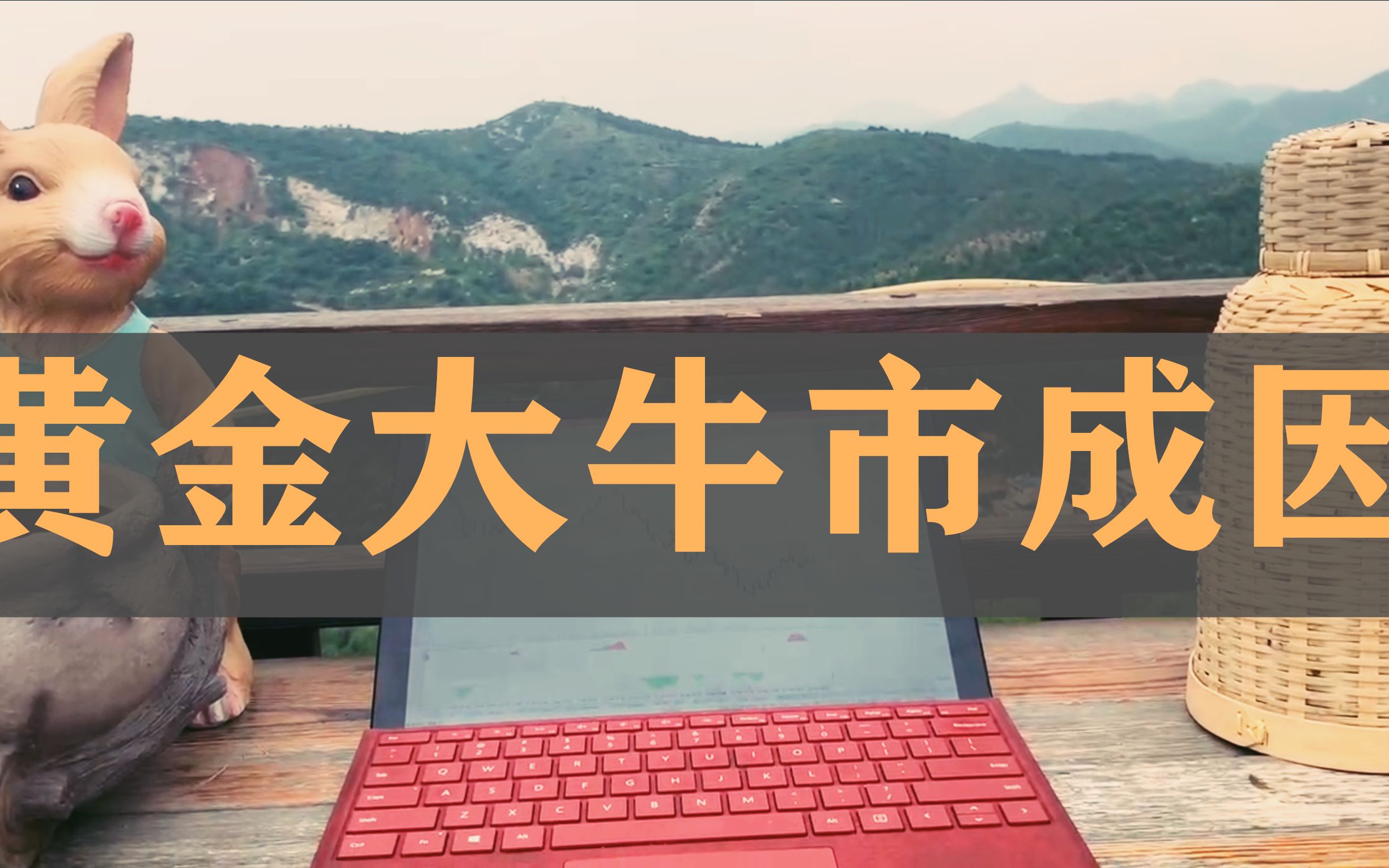 黄金牛市将至,如何布局,深度解析成因以及对策16