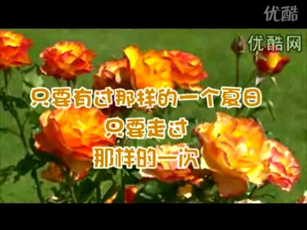 与你同行(清清风朗诵)