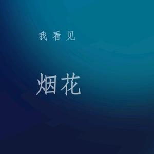 芳华AVL 