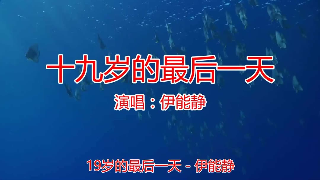 一曲老歌《十九岁的最后一天》歌声太美妙了,将火的一首歌