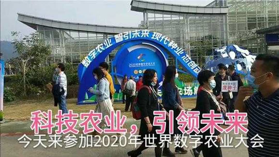 科技农业,势在必行!