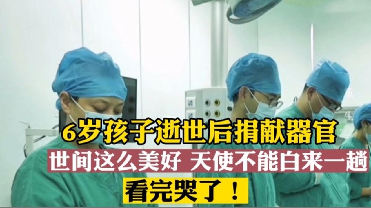 6岁孩子逝世后捐献器官,世间这么美好,天使不能白来一趟,泪目