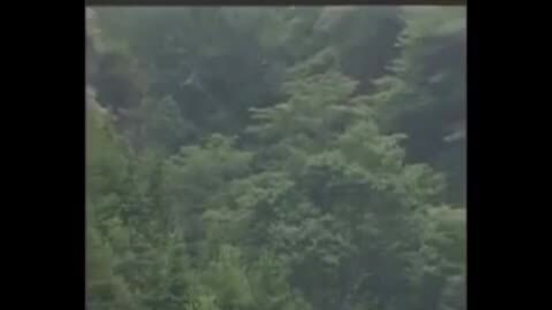 1·4·生态系统的结构