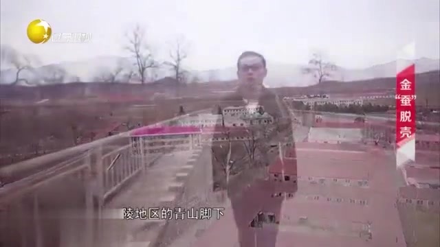 柞蚕一生历经4次变身,小小身体蕴藏东方文化的精髓丨风物辽宁