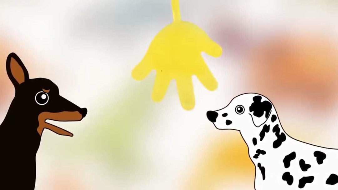 学习认识动物:各种种类的狗狗,儿童动物动画片,你认识了吗