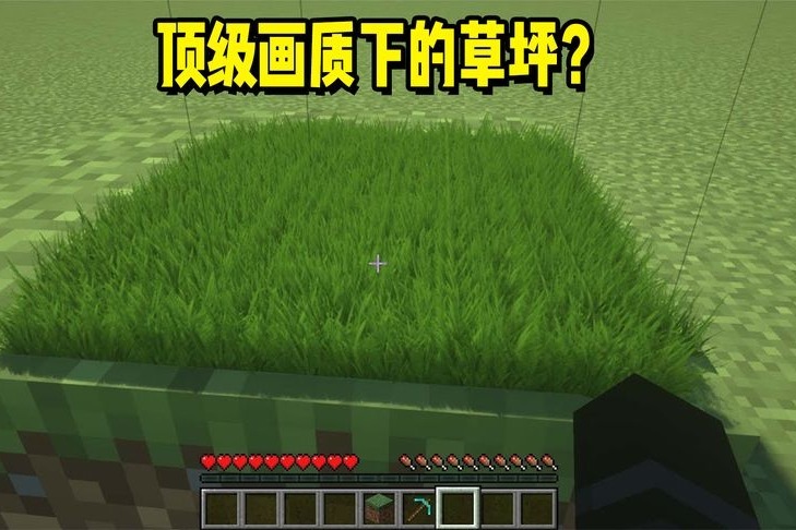 我的世界:顶级画质下的草坪,这也太真实了吧!