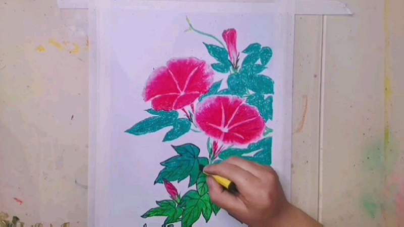 今天我们用油画棒画个喇叭花吧