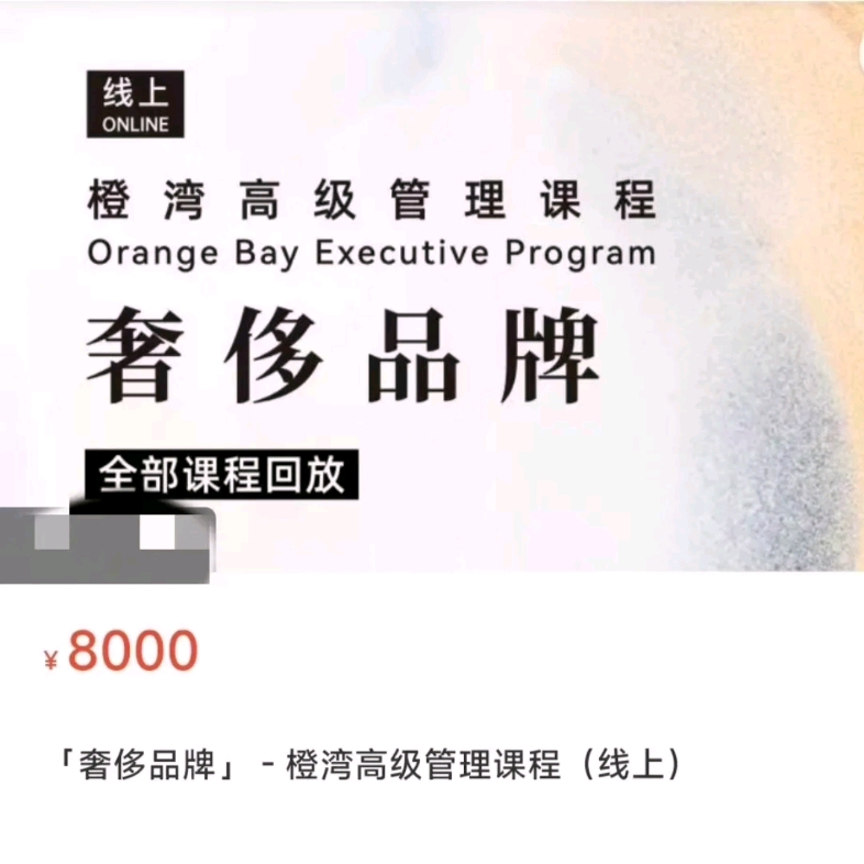 奢侈品牌 橙湾高级管理课程(线上)网课教程