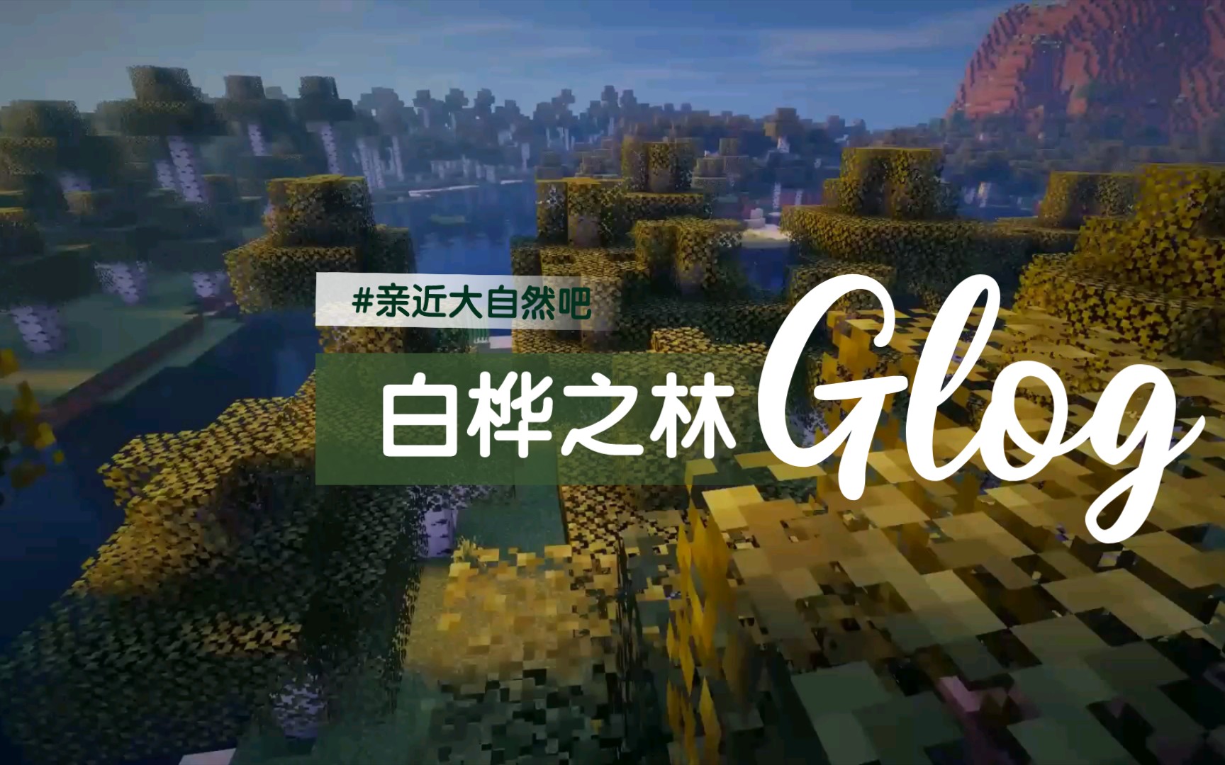 我的世界休闲跑这是?白桦林?