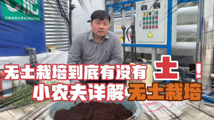 无土栽培到底有没有土?小农夫详解无土栽培,也劝大家慎重投资!