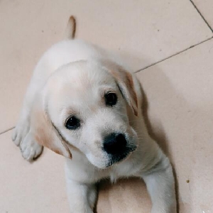 前途似锦丶wei来可期 