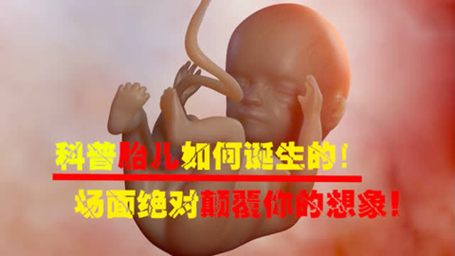 胎儿是怎么形成的绝对颠覆你的想象!看完不敢生孩子了
