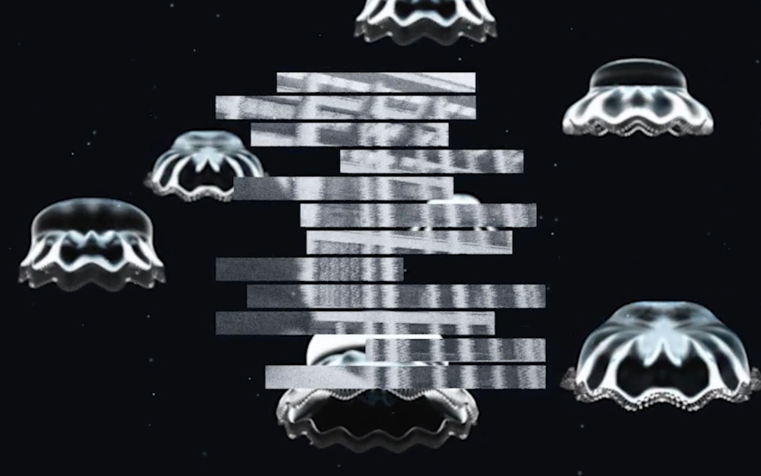 PR模板 现代创意故障毛刺标题图片演示动画特效 Jellyfish Promo