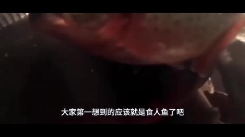 世界上最可怕的鱼,比食人鱼更凶猛100倍!