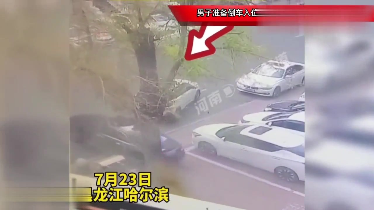 男子准备倒车入位,女司机抢先把车开进车位,"标准逆向停车?"