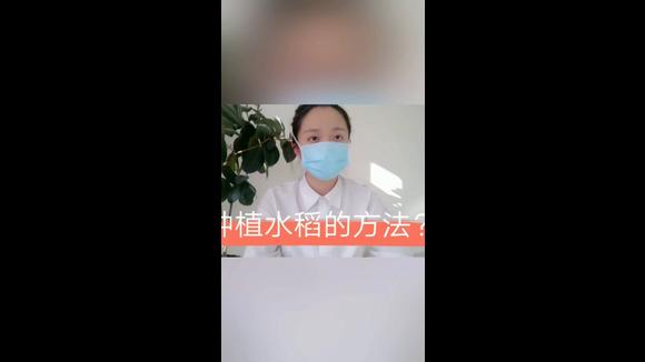 你了解水稻的种植方法吗?欢迎评论在下方!