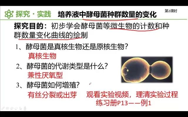 1-2 种群数量的变化(第2课时哦)