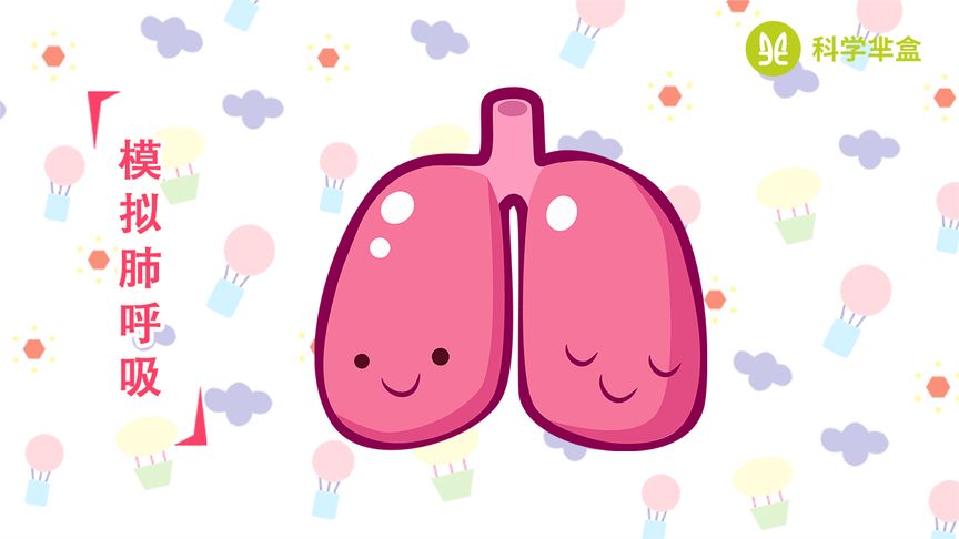 趣味实验丨1个塑料瓶+2个气球,弄清人类呼吸的奥秘!