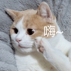 新世界考研基地 