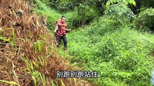 严厉打击违法犯罪,目无王法的人贩子必须受到法律制裁