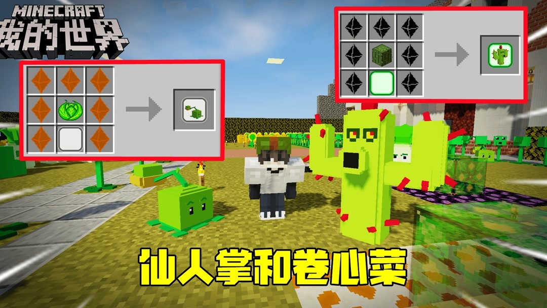 我的世界植物大战僵尸生存6.阿年:憨憨仙人掌和可爱卷心菜
