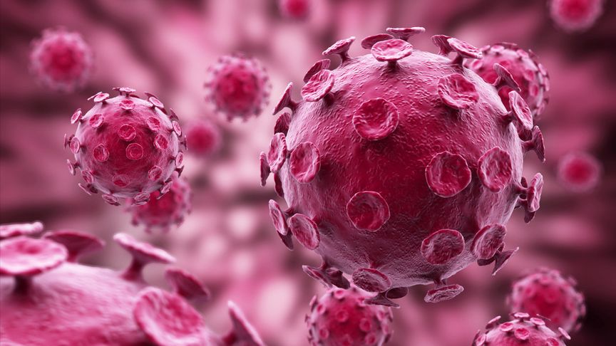 外国科普动画:病毒是如何与我们一起进化的?