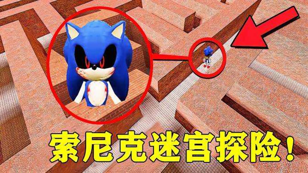 盖瑞模组:迷宫探险遇到索尼克,阿达和兔兔能成功逃脱吗?