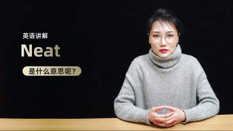 单词讲解:neat是什么意思?