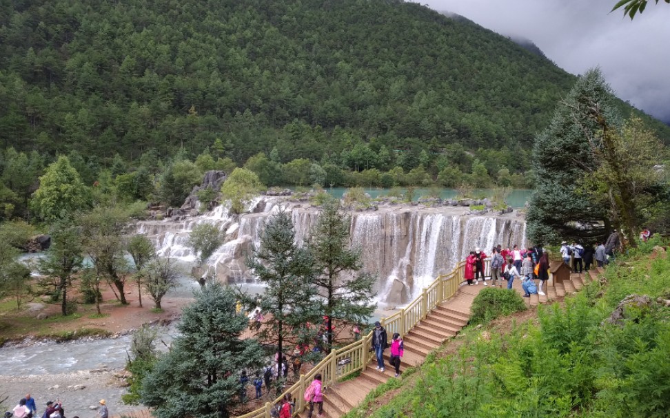 有机物的结构特点