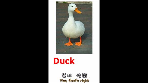 趣味自然拼读课,字母D(上)听歌曲学发音