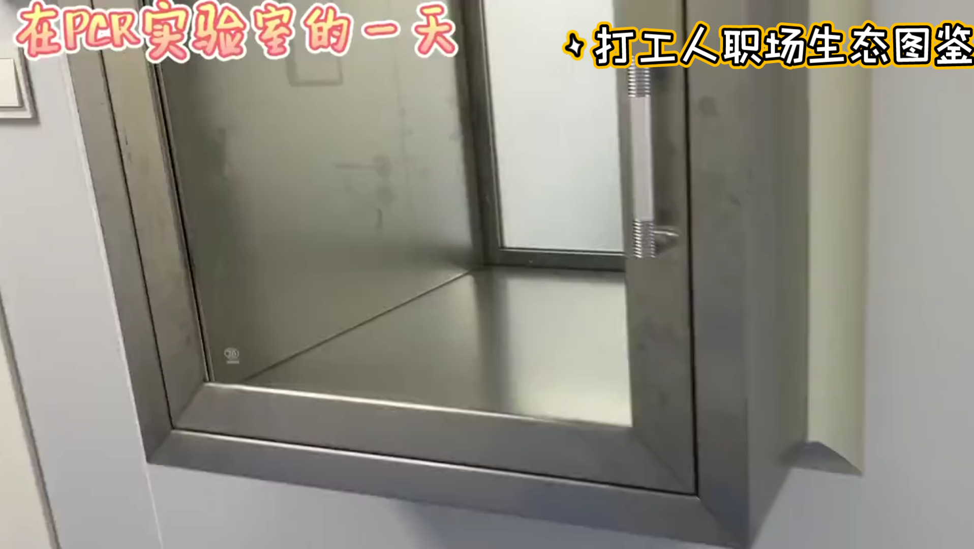 打工人职场生态图鉴,PCR实验室的一天,实验室日常