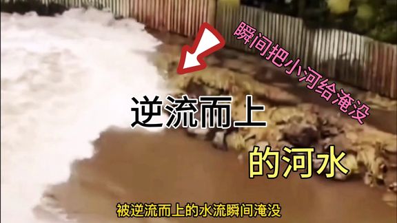 拍到的五个罕见一幕