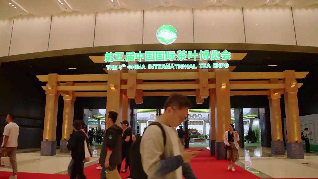 浙江茶产业大脑--用数字科技为茶产业高质量发展赋能#茶#茶产业