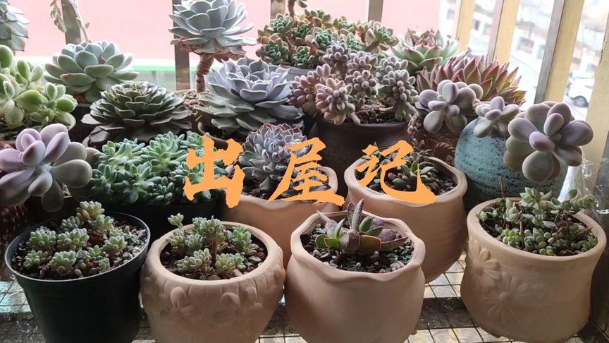 经过大半天的劳动,收拾整理,最后的成果就是这样了