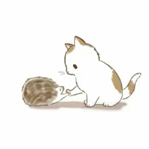 哟哟哟hello 