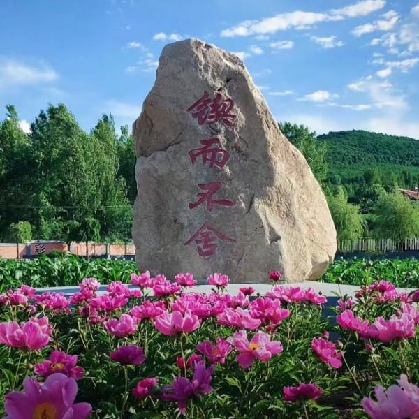 华为用户1500876996440831 